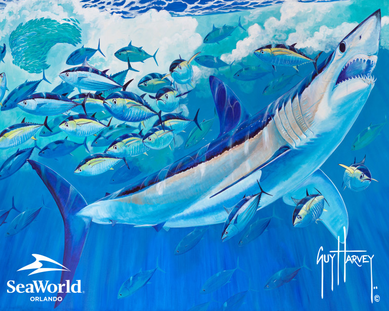Artist Guy Harvey partners with SeaWorld on Mako to support wild sharks