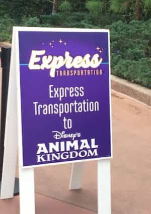 Review: Using Disney World's Express Transportation to park hop