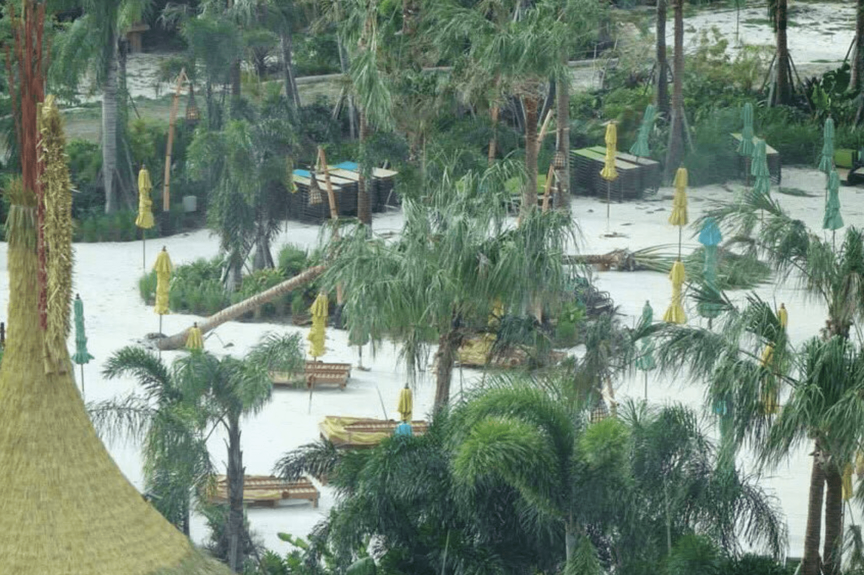 Hurricane Irma hits Orlando, but damage minimal