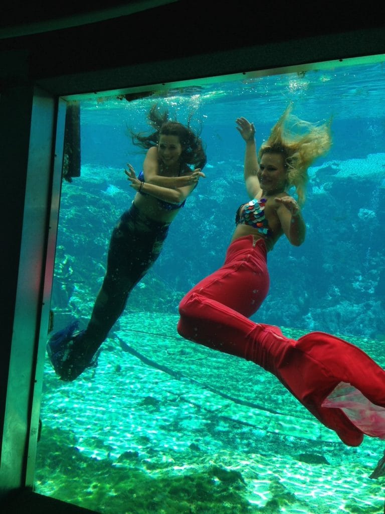 Weeki Wachee Springs improving park, mermaid theater with lengthy ...