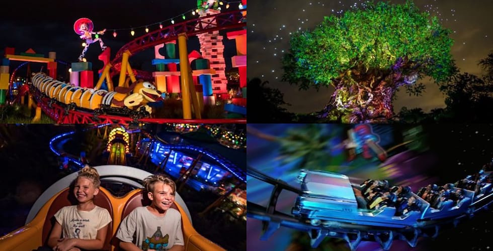 Disney After Hours Events Expand To Hollywood Studios Animal Kingdom