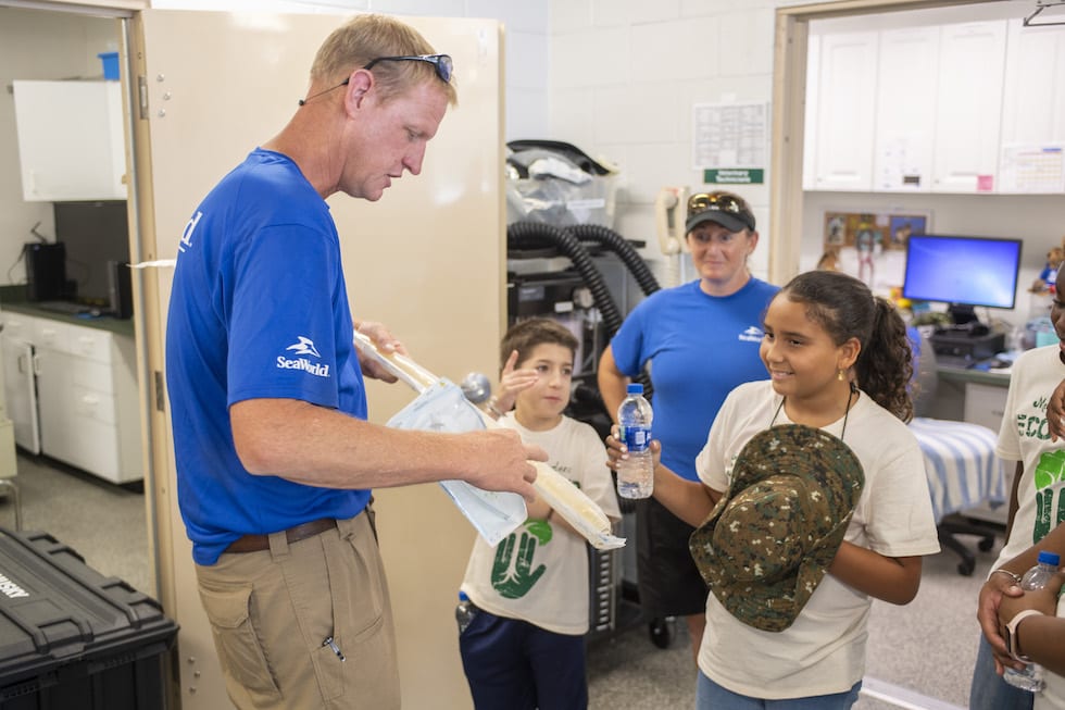 SeaWorld Orlando announces expanded event lineup for 2019