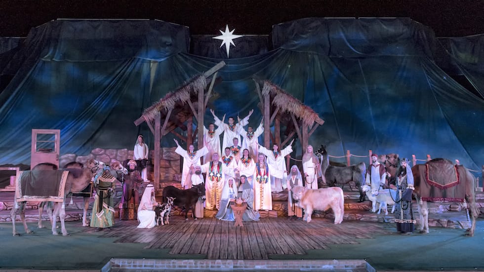 SeaWorld San Diego’s Christmas Celebration offers much to ‘sea’ and do