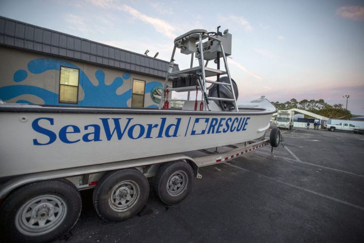 Get a behind-the-scenes peek with SeaWorld Orlando’s Inside Look