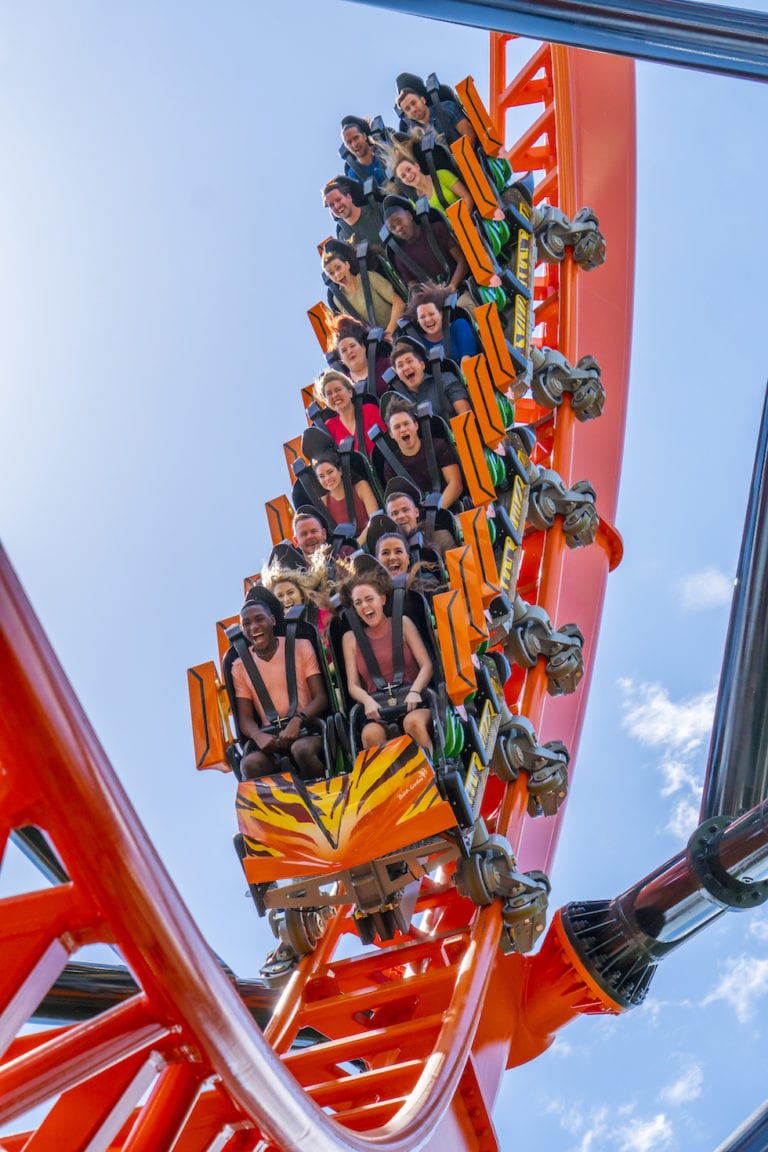 Tigris triple-launch coaster now open at Busch Gardens Tampa Bay