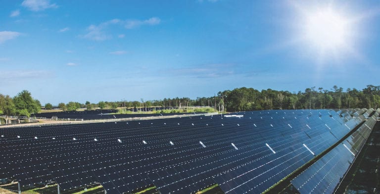Walt Disney World celebrates Earth Day with new solar facility capable ...