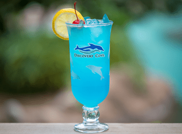 Discovery Cove adds new premium drink package, bar service