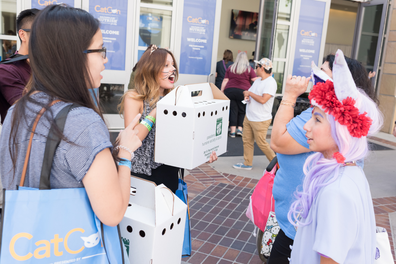 Famous felines converge in Pasadena at CatCon 2019 on June 29-30