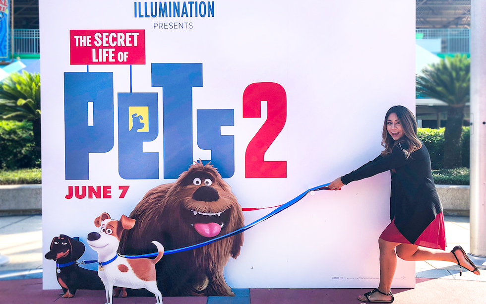 Movie Review: 'The Secret Life of Pets 2' is fur-tastic fun