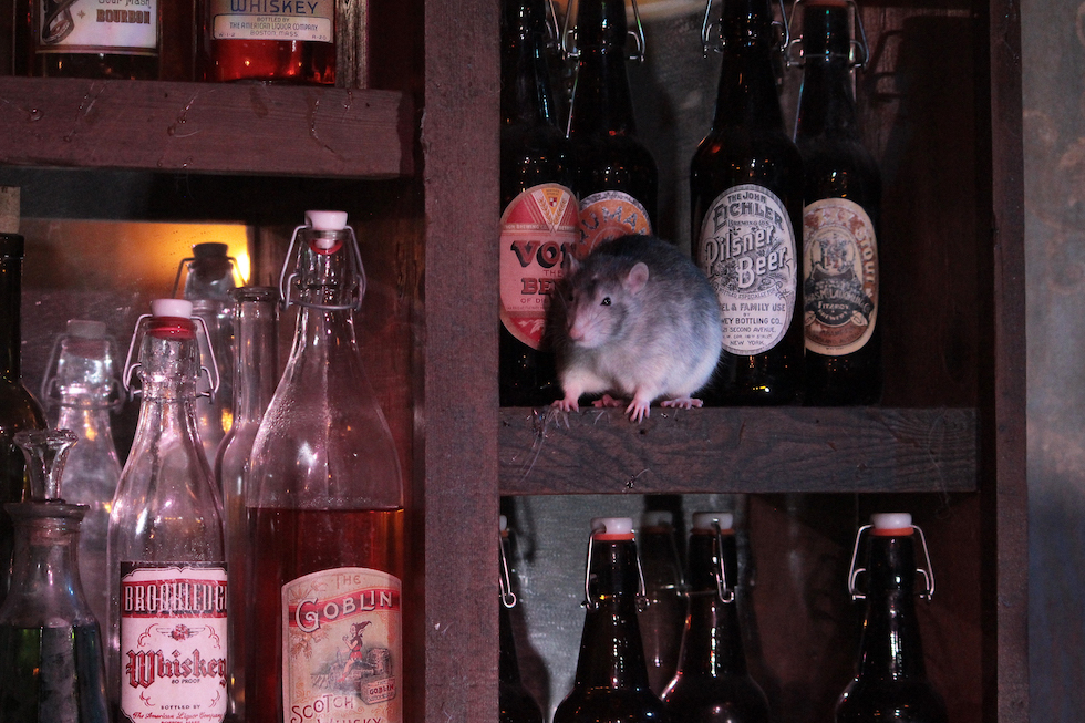 The San Francisco Dungeon to open Rat Bar June 13-15