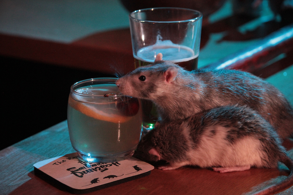 The San Francisco Dungeon to open Rat Bar June 13-15