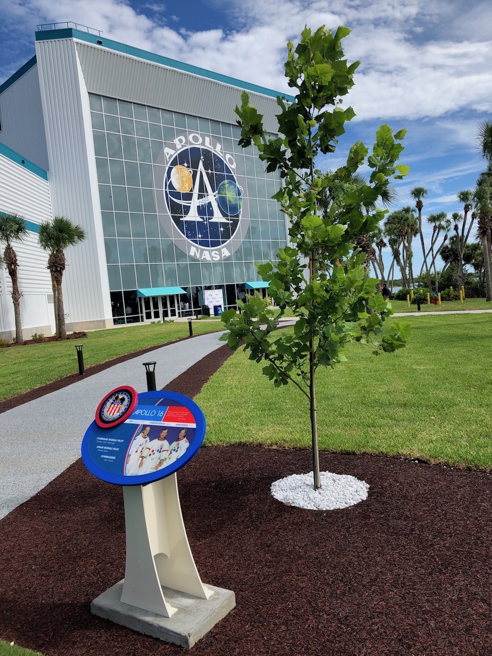 Kennedy Space Center unveils Moon Tree Garden, Apollo 11 statue