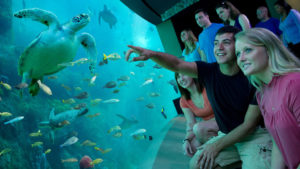 SeaWorld Orlando adds guest reservations to reopening plans