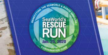 SeaWorld Orlando announces inaugural SeaWorld Rescue Run for 2020