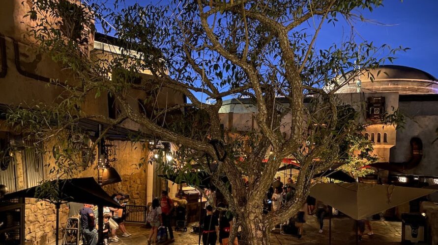 Star Wars: Galaxy's Edge 'Wishing Tree' loses ribbons at Walt Disney World