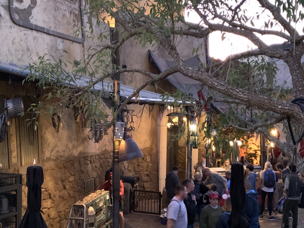 Star Wars: Galaxy's Edge 'Wishing Tree' loses ribbons at Walt Disney World