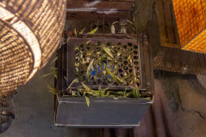 The Creatures, Characters and Droids of Star Wars: Galaxy's Edge