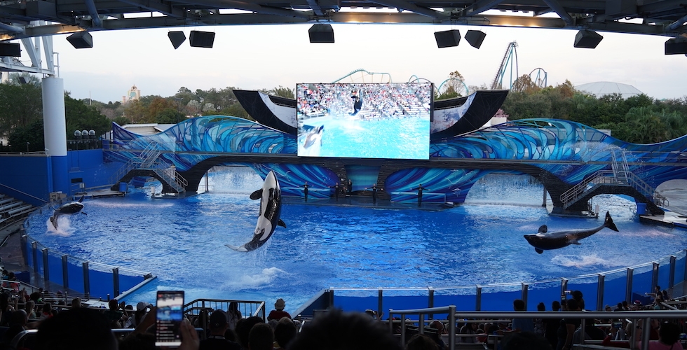 Guest Editorial: SeaWorld’s ‘Orca Encounter’ is the show they needed