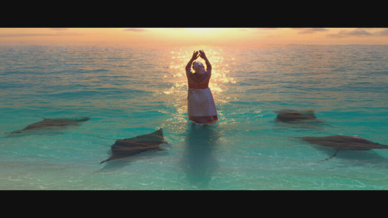 'Zenimation' series makes a serene debut on Disney+