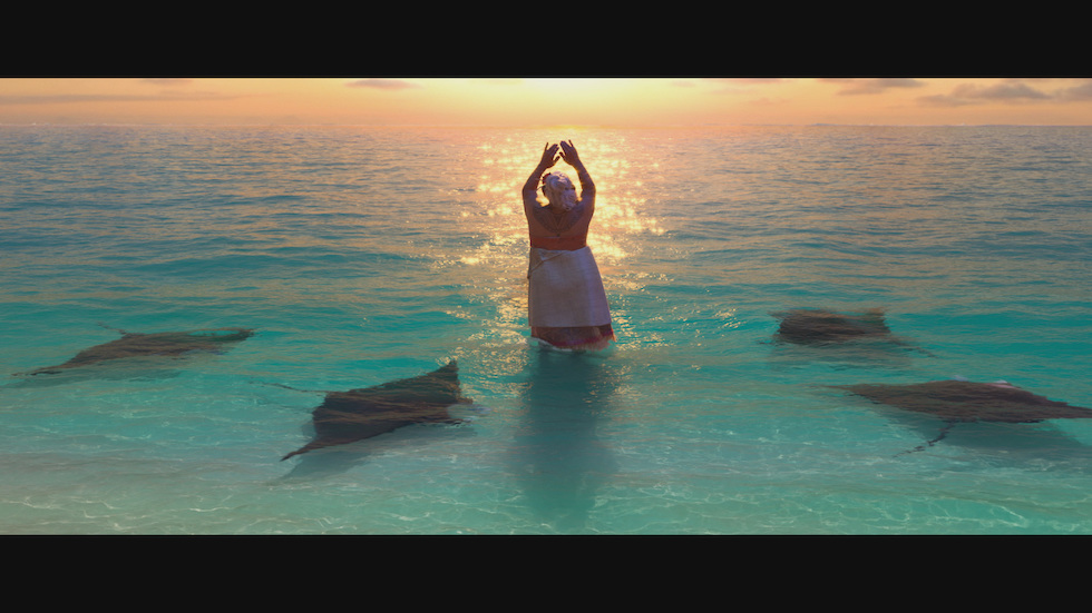 'Zenimation' series makes a serene debut on Disney+