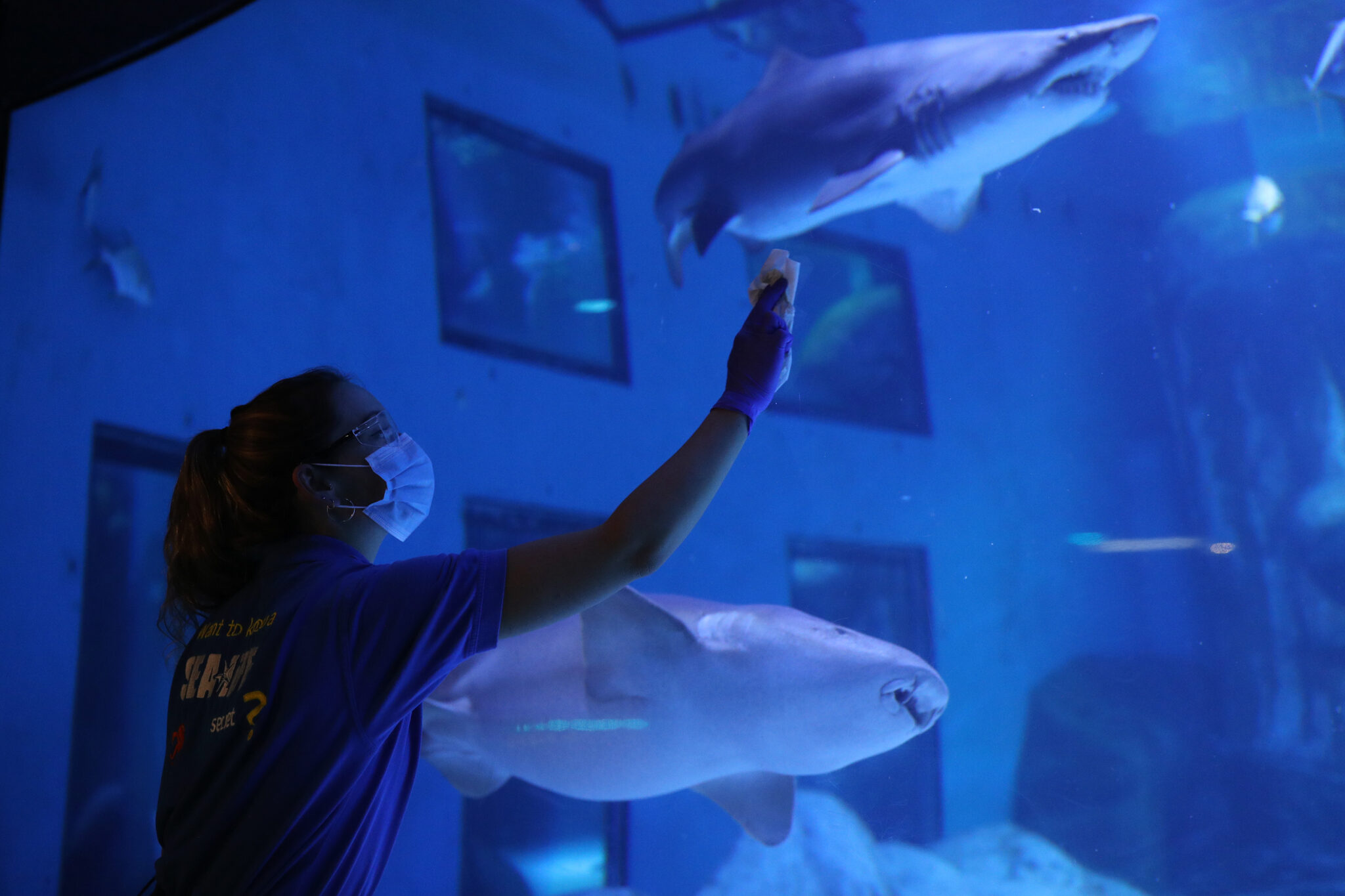 Merlin Entertainments announces reopening date for London attractions