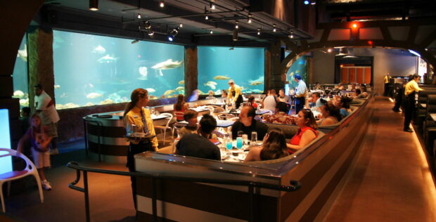 Buy a meal and visit SeaWorld Orlando free during Magical Dining