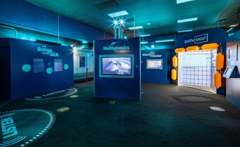 'Undersea Explorer' VR attraction opens in Las Vegas