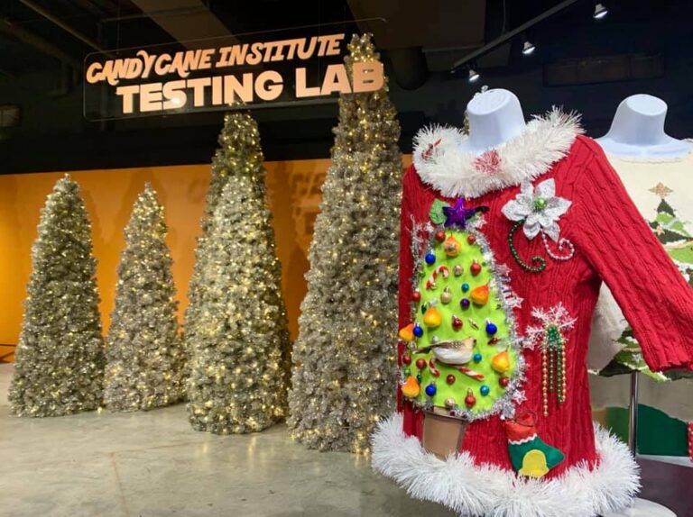 Santa’s elves are recruiting helpers at the virtual Candy Cane Institute