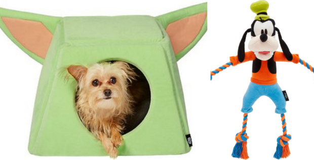 Chewy debuts magical new Disney Collection for your furry friends