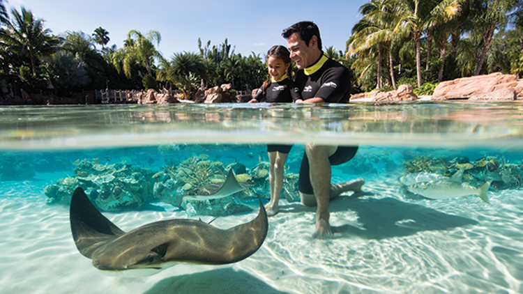A comprehensive guide to every SeaWorld attraction In America