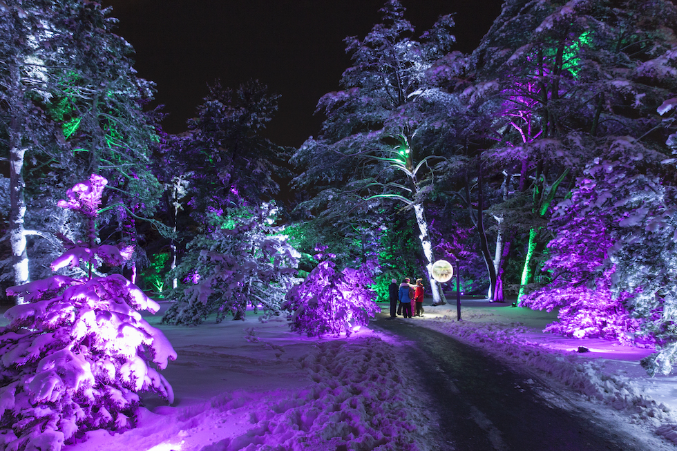 Illumination: Tree Lights brings back walking experience at The Morton ...