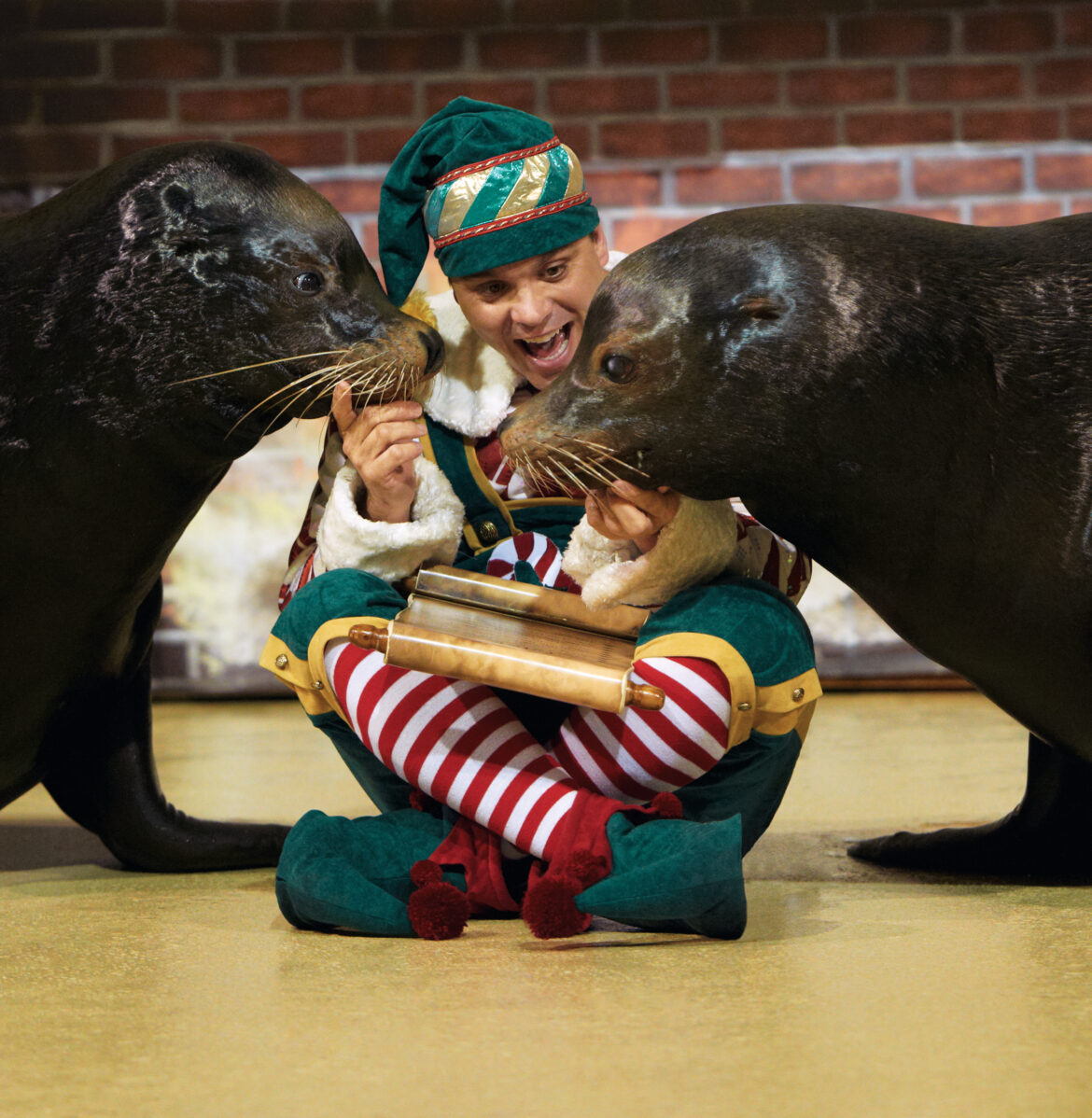 SeaWorld's Christmas Celebration returns with largest light display in ...