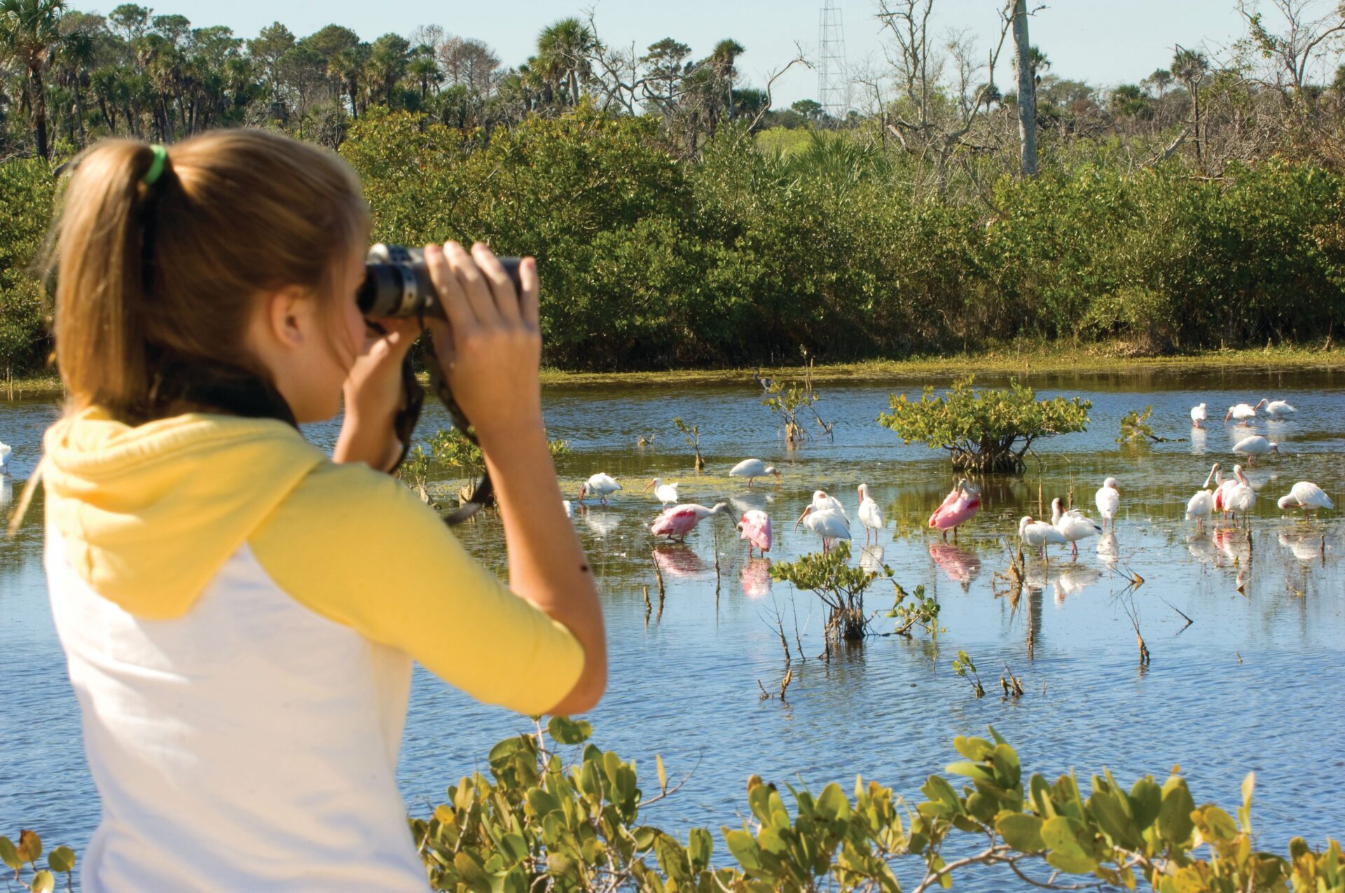 Top 8 things to do this fall on the Space Coast