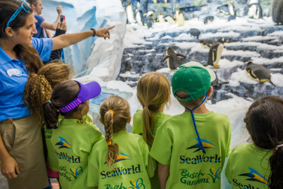 Tidal Surge headed straight for SeaWorld San Antonio