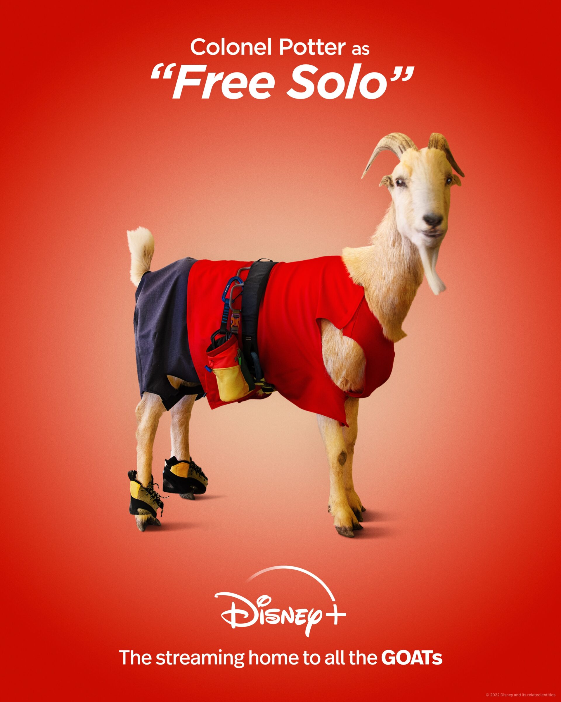 New photos of your favorite Disney+ GOATs