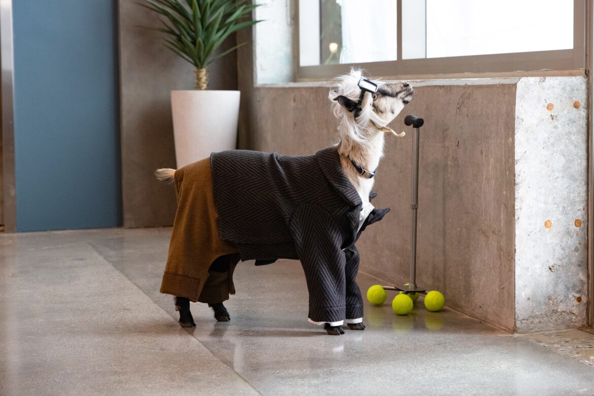 New photos of your favorite Disney+ GOATs