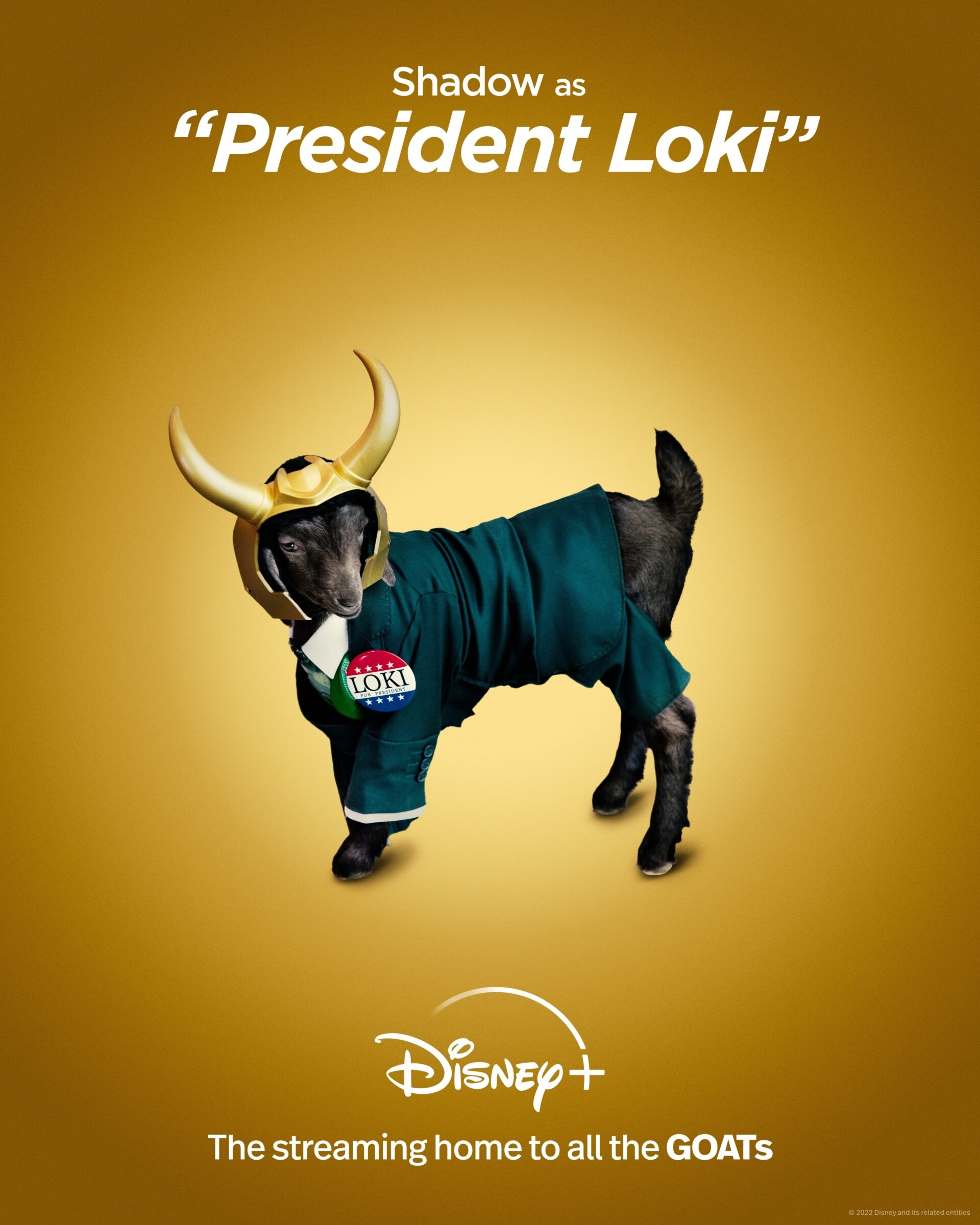 New photos of your favorite Disney+ GOATs