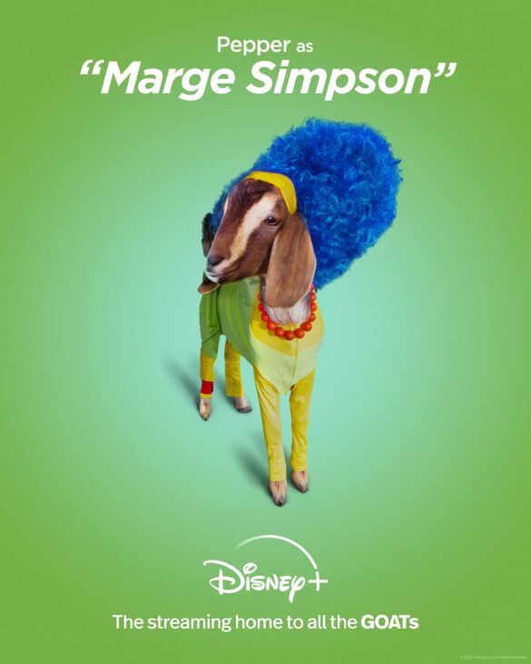 New photos of your favorite Disney+ GOATs