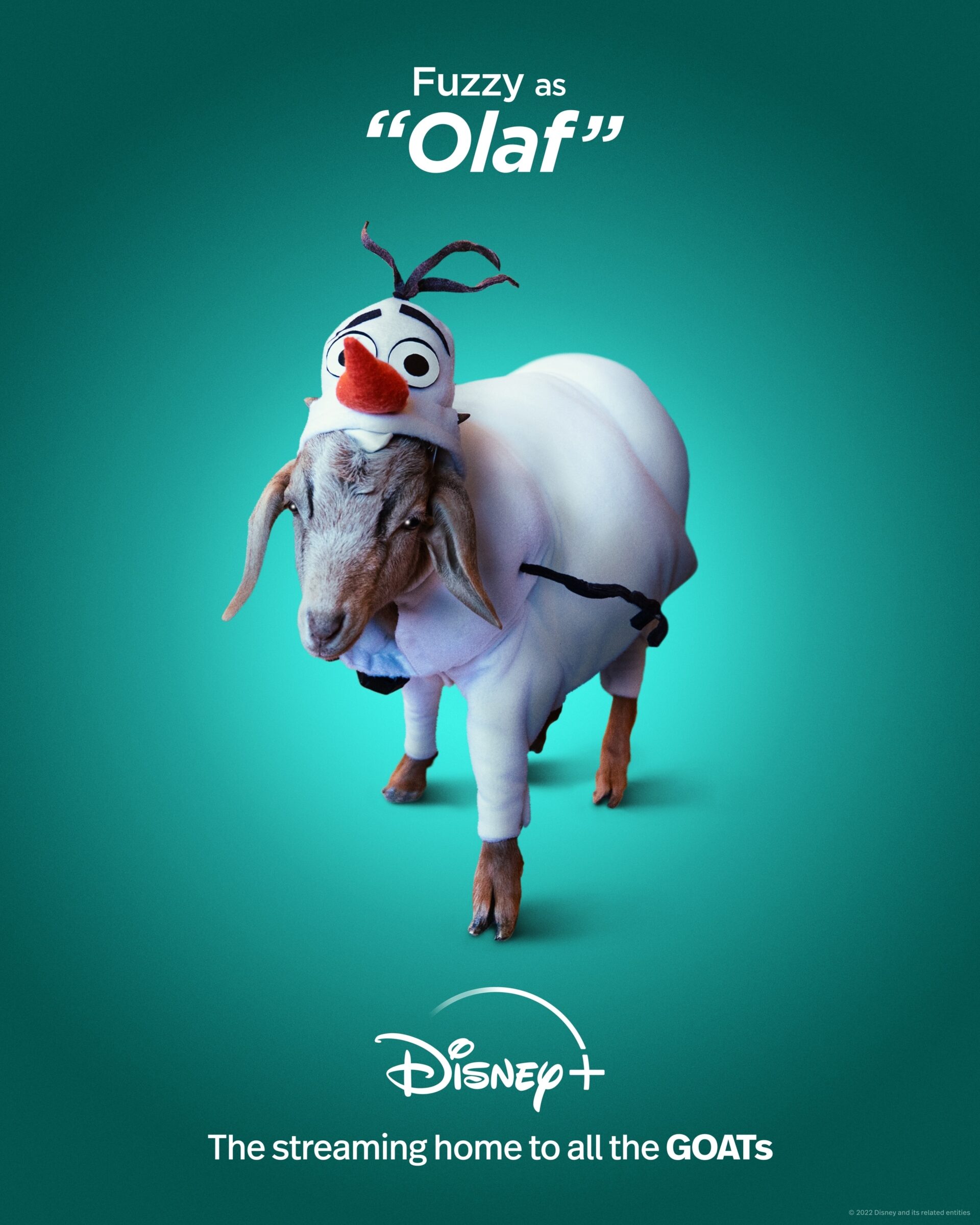 New photos of your favorite Disney+ GOATs