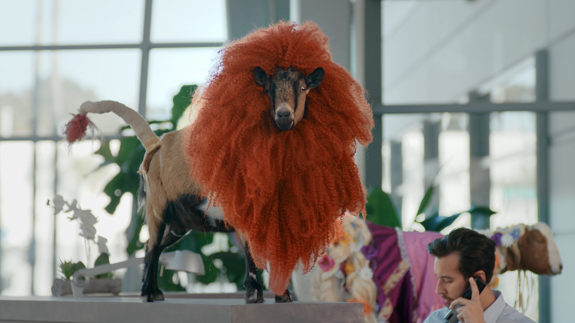 New photos of your favorite Disney+ GOATs