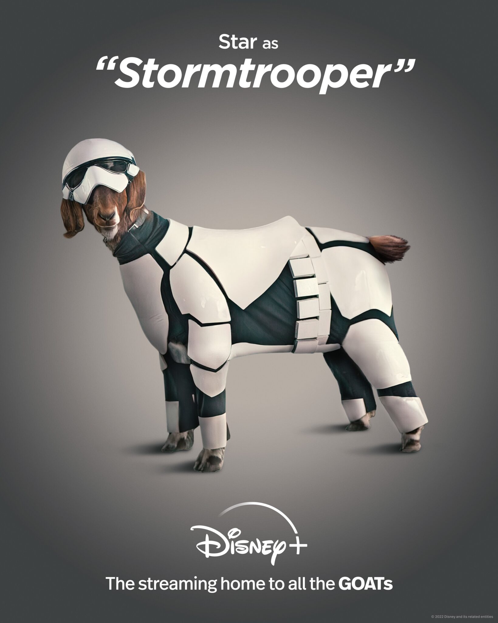 New photos of your favorite Disney+ GOATs