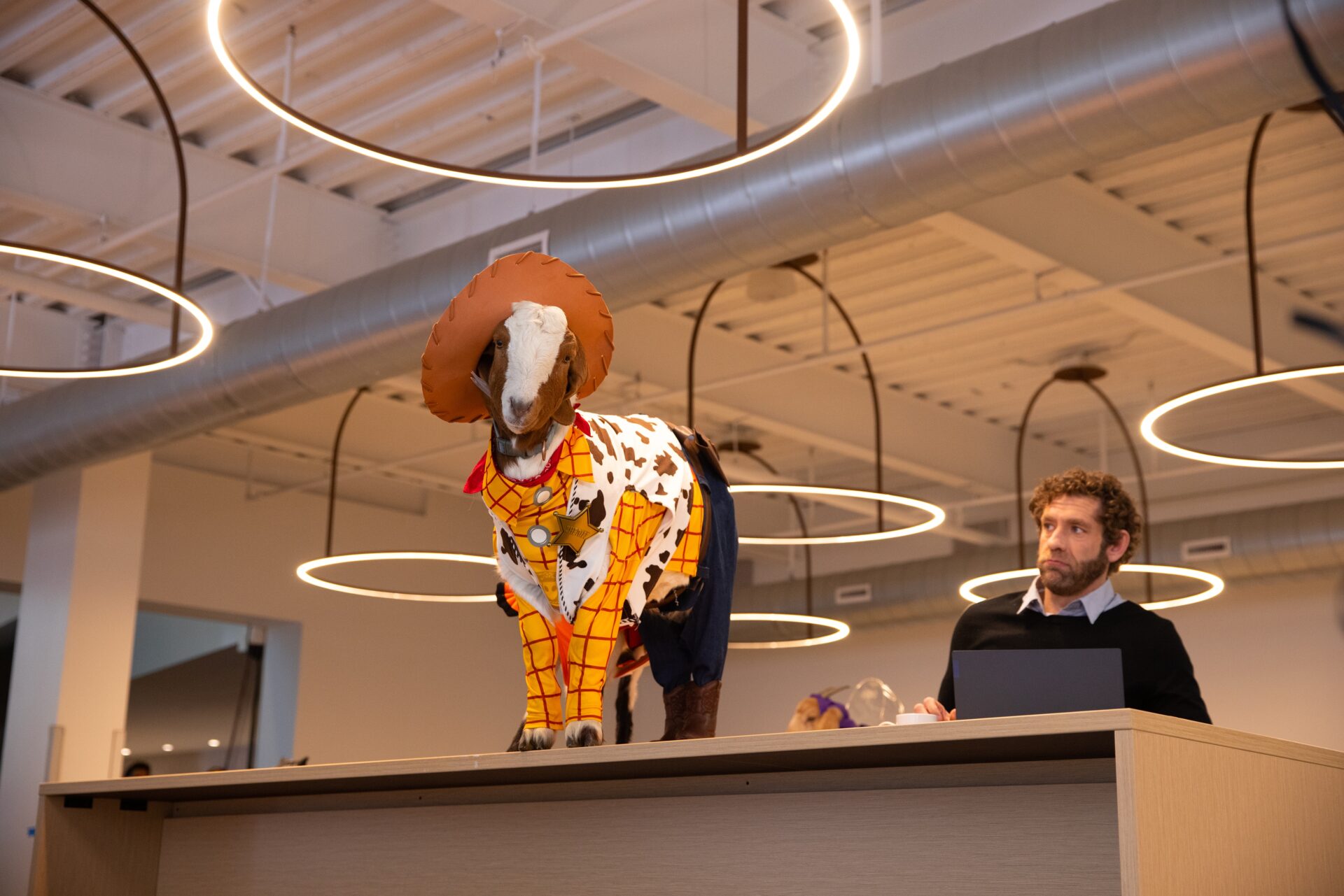 New photos of your favorite Disney+ GOATs