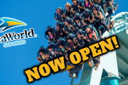 Attractions Adventures - 'A Day at Tokyo DisneySea'