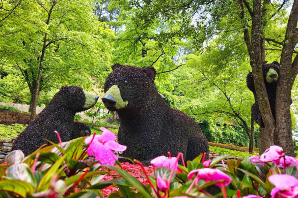 New sweet and savory crêpe stand opens at Universal Studios Florida