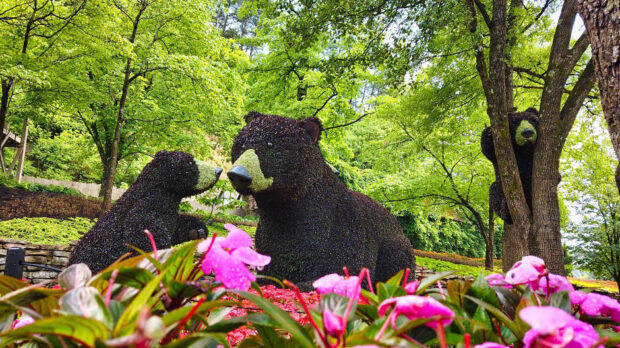 Dollywood celebrates spring with a colorful Flower & Food Festival