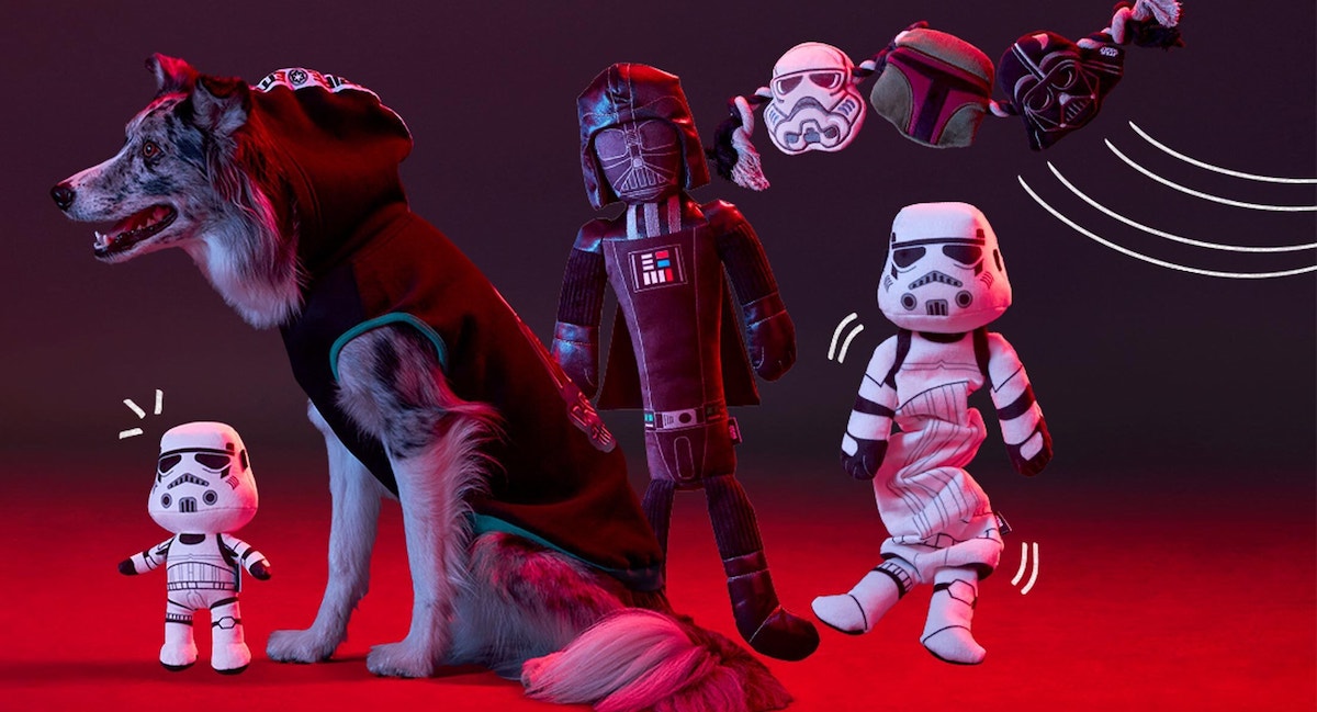 Chewy is looking for Chewbacca (aka Chewie) pet lookalikes