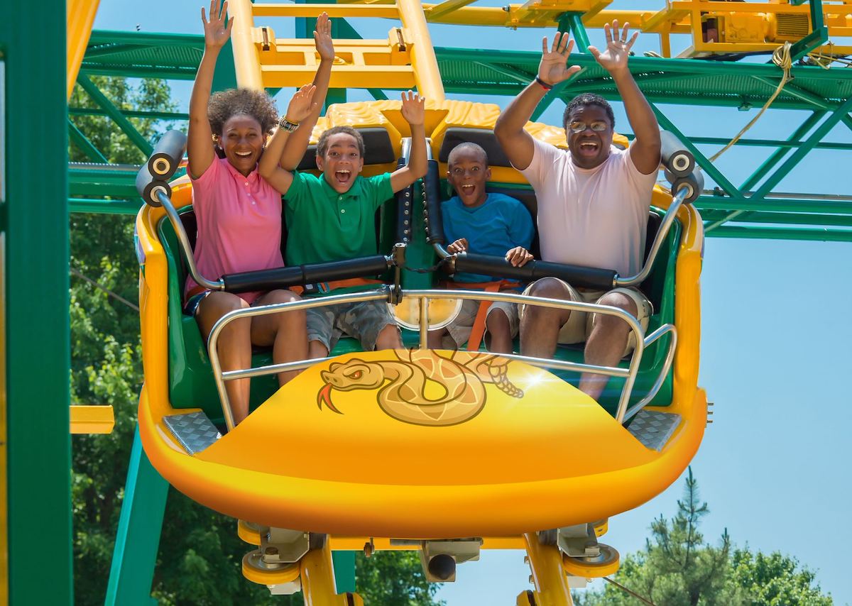 Sidewinder Safari coaster is slithering into Six Flags Discovery Kingdom