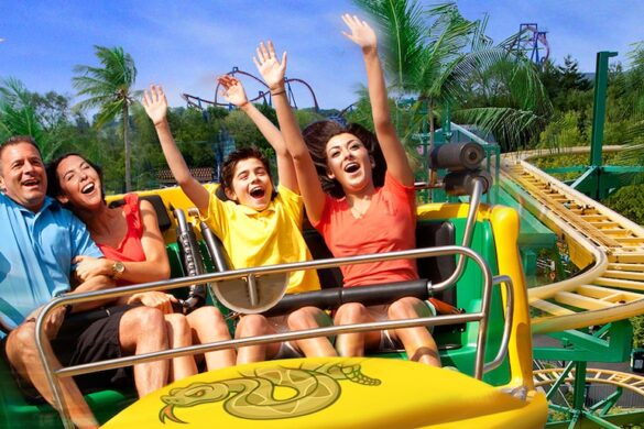 Infographic: How roller coasters are designed and built