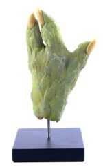 Star Wars auction includes an X-Wing and Obi-Wan Kenobi’s Lightsaber