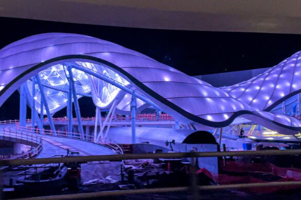 The story behind the planting of Mickey's Forest - Disney's largest ...